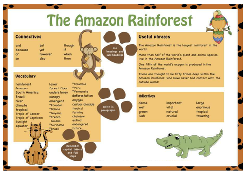 RAINFOREST RESOURCES EARLY YEARS KEY STAGE 1-2 JUNGLE ANIMAL DISPLAY ...