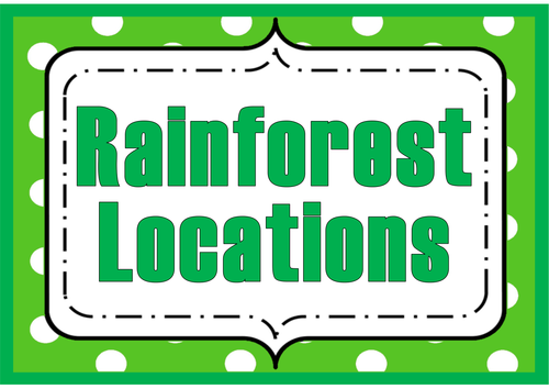 RAINFOREST RESOURCES EARLY YEARS KEY STAGE 1-2 JUNGLE ANIMAL DISPLAY ...