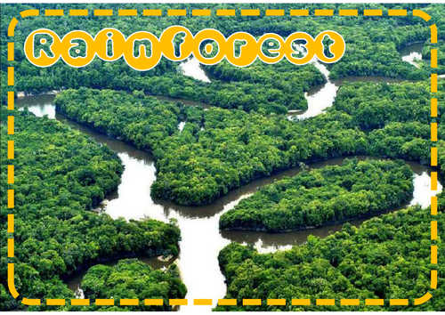 RAINFOREST RESOURCES EARLY YEARS KEY STAGE 1-2 JUNGLE ANIMAL DISPLAY ...