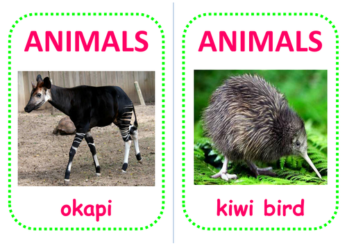 RAINFOREST RESOURCES EARLY YEARS KEY STAGE 1-2 JUNGLE ANIMAL DISPLAY ...