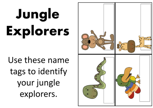 RAINFOREST RESOURCES EARLY YEARS KEY STAGE 1-2 JUNGLE ANIMAL DISPLAY ...