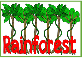 RAINFOREST RESOURCES EARLY YEARS KEY STAGE 1-2 JUNGLE ANIMAL DISPLAY ...