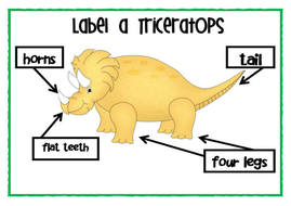 DINOSAUR TEACHING RESOURCES SCIENCE HISTORY KEY STAGE 1-2 DISPLAY ...