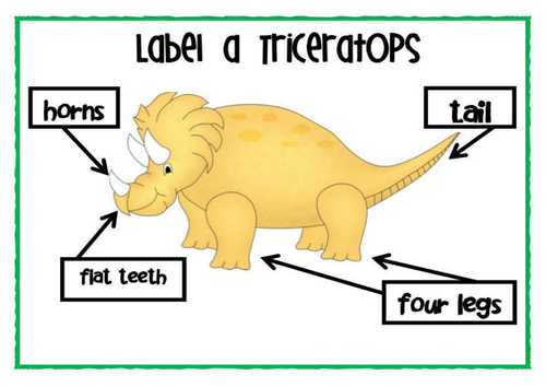 DINOSAUR TEACHING RESOURCES SCIENCE HISTORY KEY STAGE 1-2 DISPLAY ...
