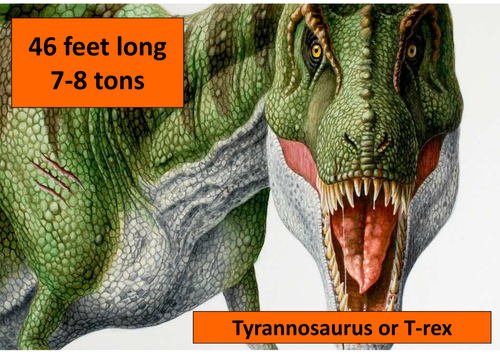 DINOSAUR TEACHING RESOURCES SCIENCE HISTORY KEY STAGE 1-2 DISPLAY ...