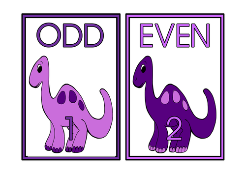 DINOSAUR TEACHING RESOURCES SCIENCE HISTORY KEY STAGE 1-2 DISPLAY ...