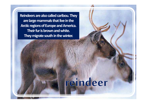 SANTA'S TOY WORKSHOP ROLE PLAY TEACHING RESOURCES CHRISTMAS DISPLAY ...