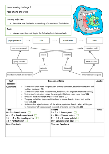 NEW KS3 SCIENCE YEAR 8 PLANTS TRACKING, FEEDBACK AND HOME LEARNING ...