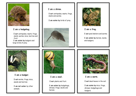 Food chain cards | Teaching Resources