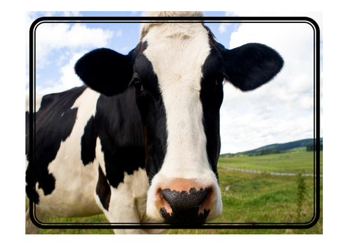 PHONICS PHASE 1 TEACHING RESOURCES LETTERS SOUNDS LITERACY ALPHABET ...