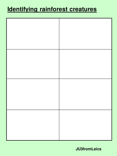 RAINFOREST writing activities. Home, school. | Teaching Resources