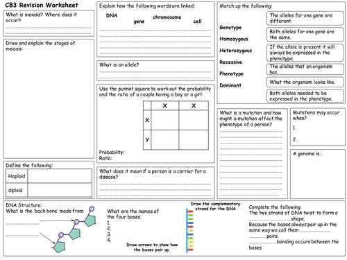 Edexcel Combined Science Biology 1 Revision Worksheets | Teaching Resources