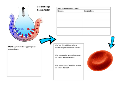 AQA GCSE PE 2016 Spec - Spirometer Trace by j_shields - Teaching ...
