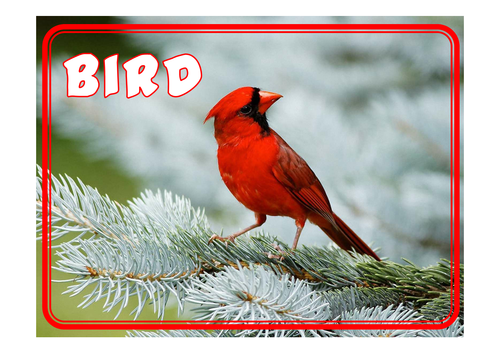 BROWN BEAR WHAT DO YOU SEE STORY TEACHING RESOURCES EYFS COLOURS ...