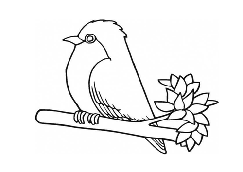 BROWN BEAR WHAT DO YOU SEE STORY TEACHING RESOURCES EYFS COLOURS ...