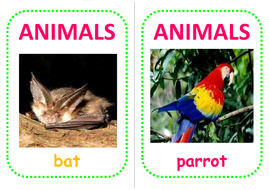 MONKEY PUZZLE STORY TEACHING RESOURCES LITERACY READING EYFS KS 1-2 ...