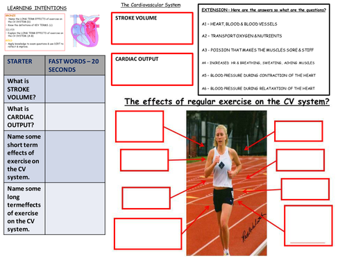 GCSE PE edexcel 1.2 topics covered in powerpoints and worksheets ...
