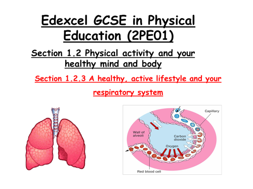 GCSE PE edexcel 1.2 topics covered in powerpoints and worksheets ...