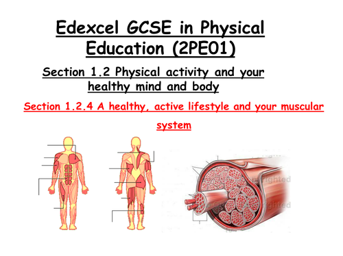 GCSE PE edexcel 1.2 topics covered in powerpoints and worksheets ...