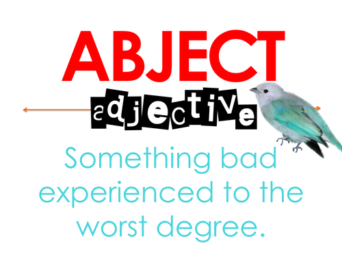 Word Birds Word of the Week Year 10 High-Level Vocabulary Builder: 40 ...