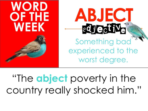 Word Birds Word of the Week Year 10 High-Level Vocabulary Builder: 40 ...