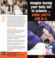 Reading a persuasive leaflet - PETA Animal Rights | Teaching Resources