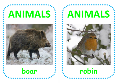 GRUFFALO'S CHILD STORY TEACHING RESOURCES, LITERACY, READING, EYFS, KS ...