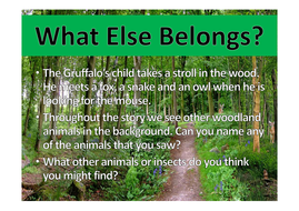 GRUFFALO'S CHILD STORY TEACHING RESOURCES, LITERACY, READING, EYFS, KS ...