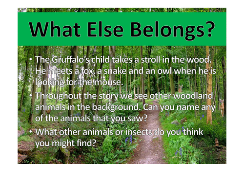 GRUFFALO'S CHILD STORY TEACHING RESOURCES, LITERACY, READING, EYFS, KS ...