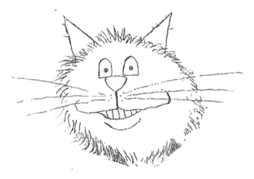 WINNIE THE WITCH STORY TEACHING RESOURCES LITERACY READING EYFS, KS 1-2 ...