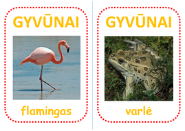 LITHUANIAN LANGUAGE TEACHING RESOURCES DISPLAY posters flashcards ...