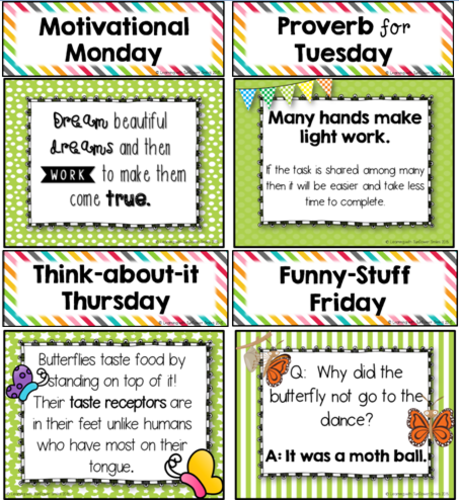 Free Week 8 Vocabulary and Text Development | Teaching Resources