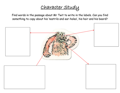 Roald Dahl Character study of Mr.Twit | Teaching Resources