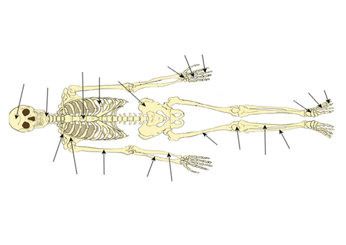 SCIENCE TEACHING RESOURCES KEY STAGE 3-4 CHEMISTRY BIOLOGY PHYSICS ...