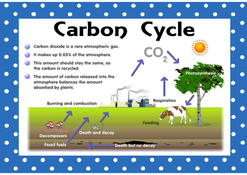 SCIENCE TEACHING RESOURCES KEY STAGE 3-4 CHEMISTRY BIOLOGY PHYSICS ...