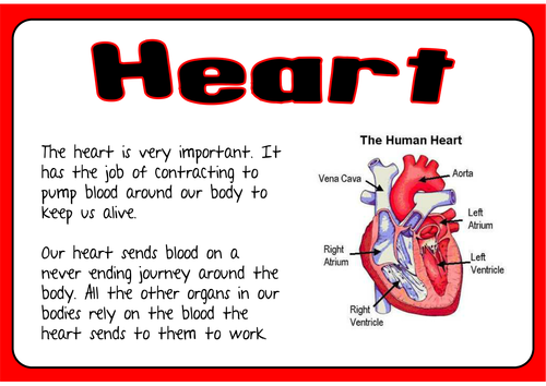 SCIENCE TEACHING RESOURCES KEY STAGE 3-4 CHEMISTRY BIOLOGY PHYSICS ...