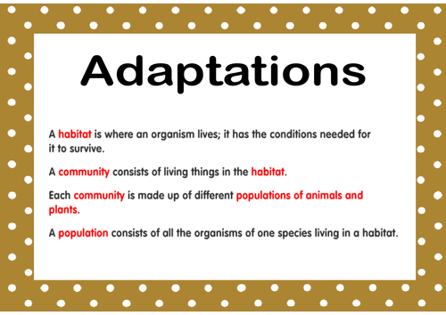 SCIENCE TEACHING RESOURCES KEY STAGE 3-4 CHEMISTRY BIOLOGY PHYSICS ...