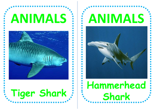 SHARK IN THE PARK STORY TEACHING RESOURCES LITERACY READING EYFS KS 1-2 ...