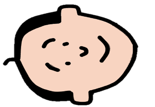 SHARK IN THE PARK STORY TEACHING RESOURCES LITERACY READING EYFS KS 1-2 ...