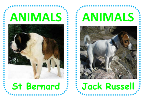 DEAR ZOO STORY TEACHING RESOURCES AND ZOO ROLE PLAY EYFS KS 1-2 ENGLISH ...