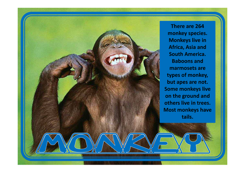 DEAR ZOO STORY TEACHING RESOURCES AND ZOO ROLE PLAY EYFS KS 1-2 ENGLISH ...