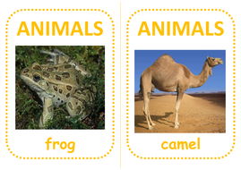 DEAR ZOO STORY TEACHING RESOURCES AND ZOO ROLE PLAY EYFS KS 1-2 ENGLISH ...