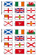 Ratio and proportion of flag sizes (worksheet) | Teaching Resources