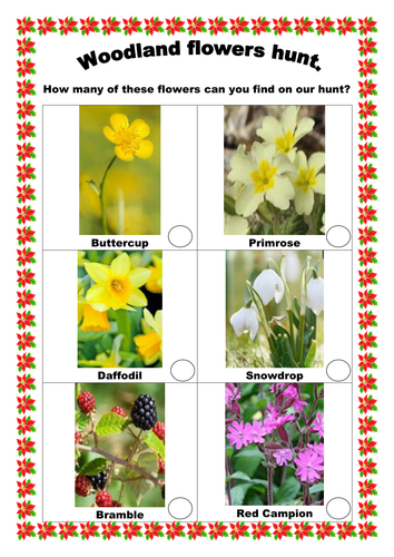 KS1 Science Woodland flower hunt activity by selinaj - Teaching ...