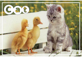 WRITING TEACHING RESOURCES EARLY YEARS KS1-2 CREATIVE STORY ENGLISH ...