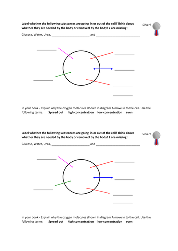 Diffusion of substances in and out of cells DIFFERENTIATED X 3 ...