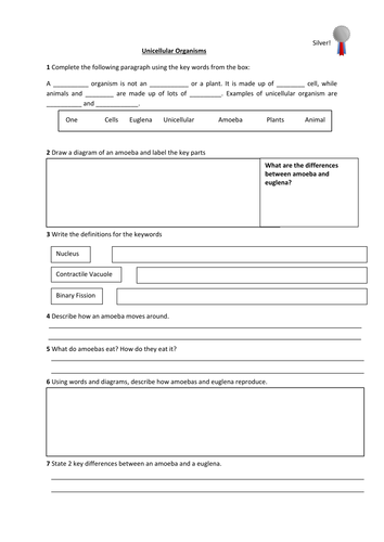 Unicellular organisms - Amoeba and Euglena DIFFERENTIATED X 3 ...