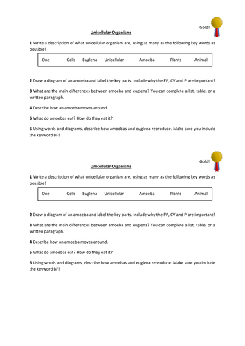 Unicellular organisms - Amoeba and Euglena DIFFERENTIATED X 3 ...