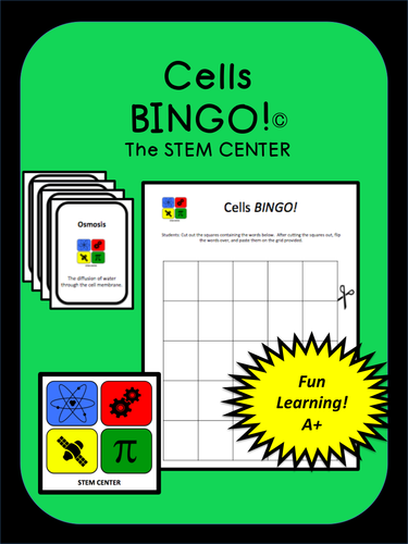 Science Game: BINGO BUNDLE! | Teaching Resources
