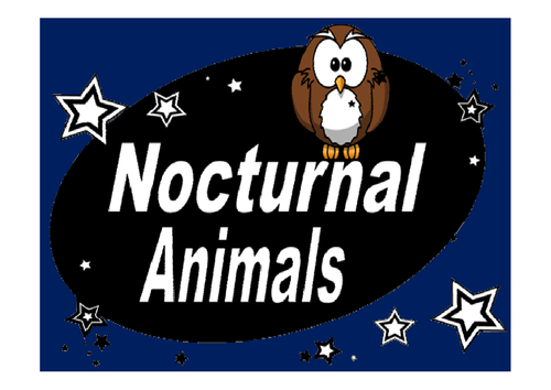 THE HODGEHEG STORY TEACHING RESOURCES EYFS KS1-2 HEDGEHOG ROAD SAFETY ...